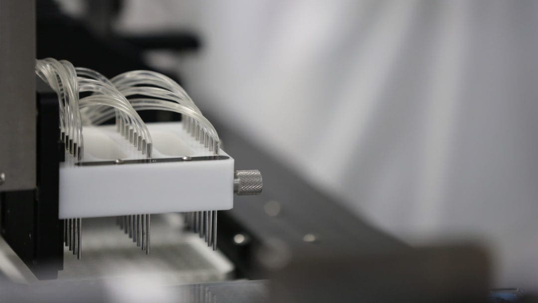 Scantibodies Laboratory, Inc. - Over 45 years of experience in the ...