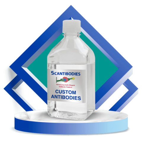 Custom Monoclonal Antibody Production for your needs